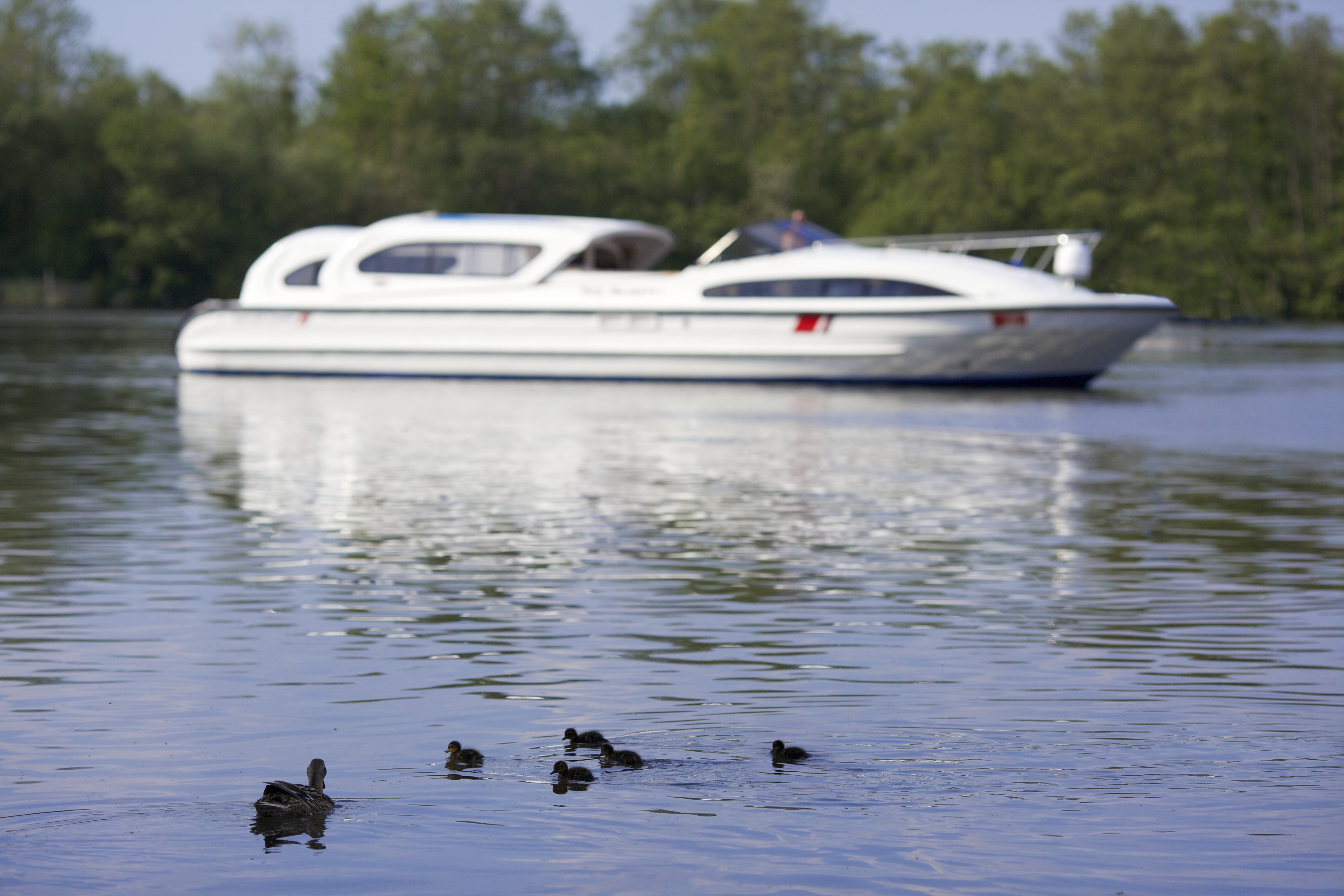 Norfolk Broads Holiday Gallery | Norfolk Broads Direct