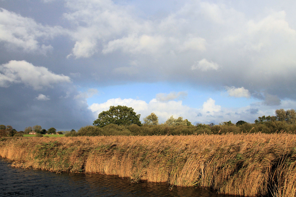Norfolk Broads Holiday Gallery | Norfolk Broads Direct