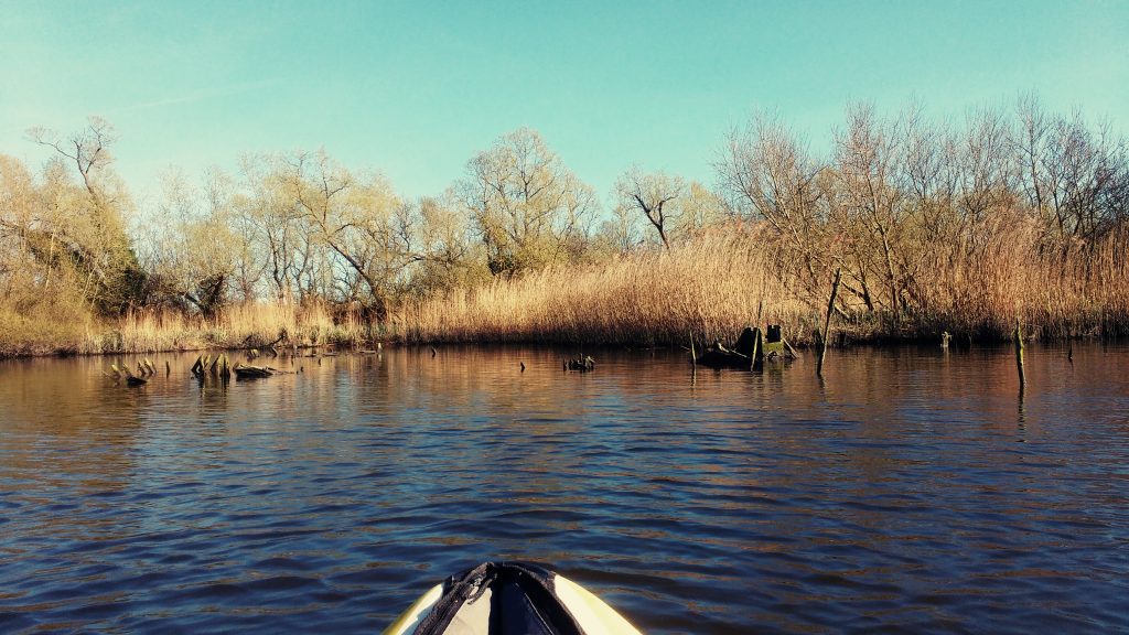 Surlingham - Norfolk Broads Direct