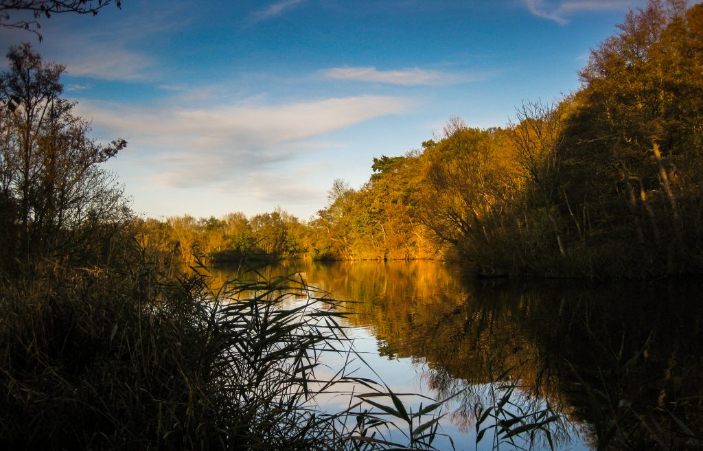 Salhouse Broad - Norfolk Broads Direct
